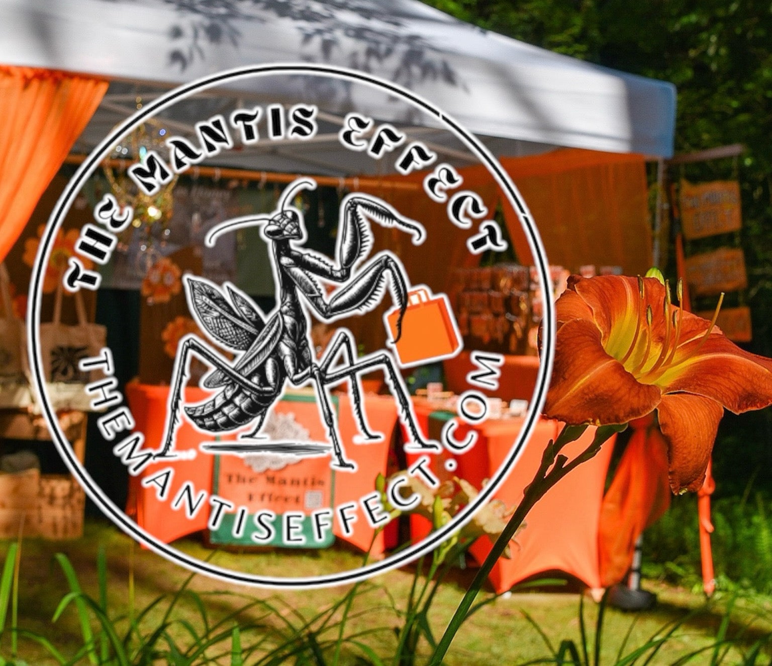Welcome to The Mantis Effect – The Mantis Effect